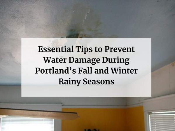 Essential Tips to Prevent Water Damage During Portland’s Fall