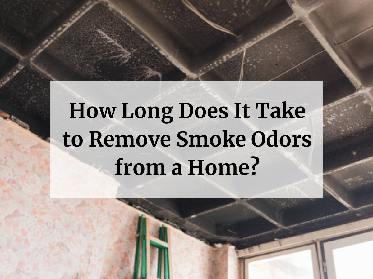 How Long Does It Take to Remove Smoke Odors from a Home?
